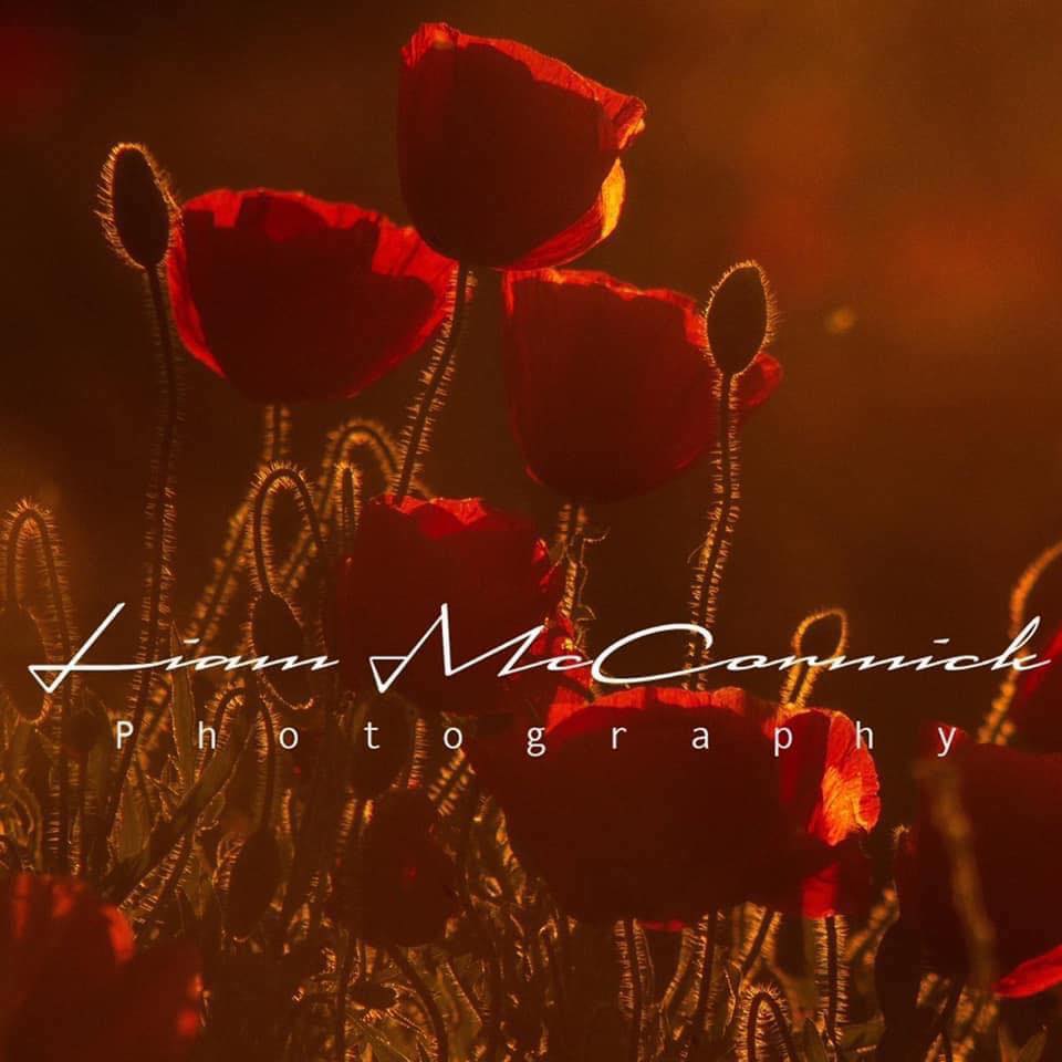 VOTE FOR US! -Liam McCormick Photography, in the North of England ...